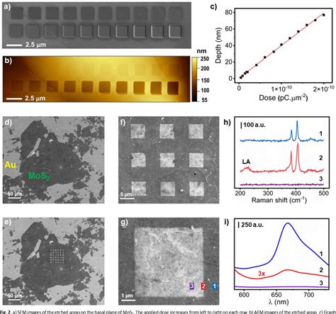 Figure 2 From Patterning Edge Like Defects And Tuning Defective Areas