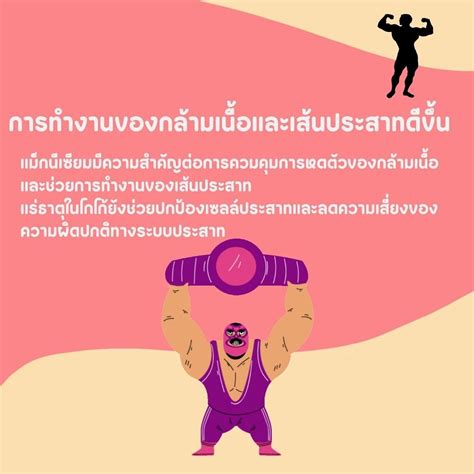Mellow Cocoa Thailand โกโก้แท้ 100 Home