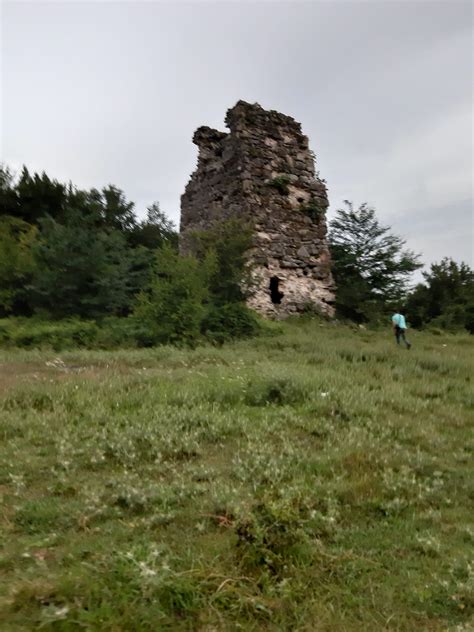 ნემსაძე