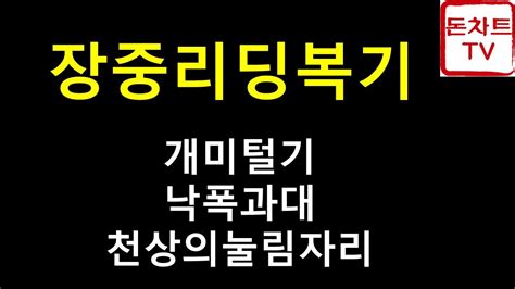 5 23 화 장중 리딩종목 복기 크리스탈신소재 EG 유니온머티니얼 삼화전자 애경케미칼 한국무브넥스 현대무벡스 KBG SJM