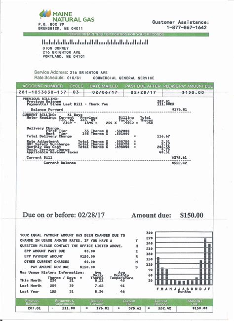 Fpl Utility Bill Template