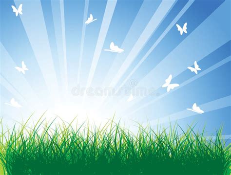 Cool Grass Stock Illustrations 9617 Cool Grass Stock Illustrations