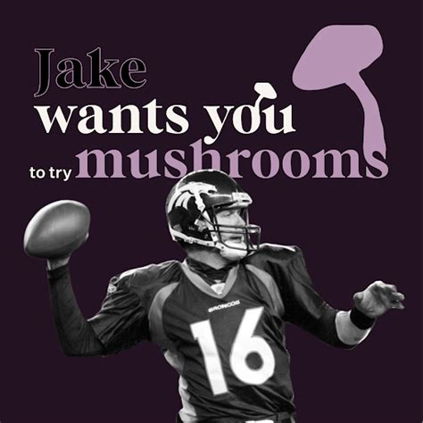 Umbo Mushrooms As Tools For Wellness By Jake Plummer Tools For Wellness