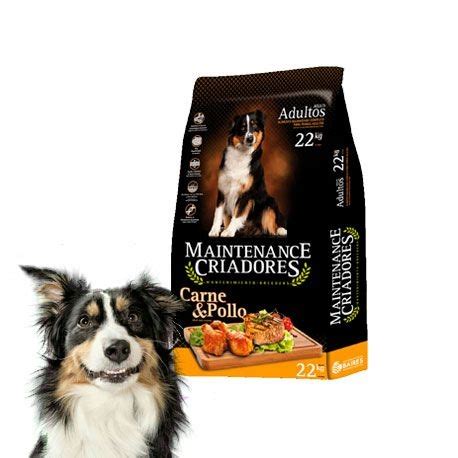 Alimento Balanceado Perro Adulto