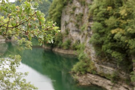 Lago Di Corlo E Foto Nella Quasi Natura The Hyperfocal