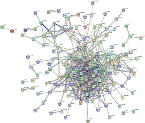 基于网络药理学及分子对接技术探究润肺益肾饮治疗糖尿病肾病的作用机制