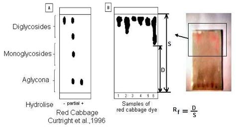 Samples Chromatogram During The Batch Process Download Scientific Diagram