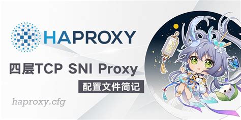 HAPROXY四层TCP转发及SNI Proxy简记 Luminous Home