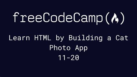 Freecodecamp Learn Html By Building A Cat Photo App 11 20 Youtube