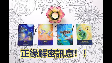 Jessie占卜 解密占卜 正緣邂逅后生活的解密訊息正緣狀態一起生活狀態不受時間空間性別限制 YouTube