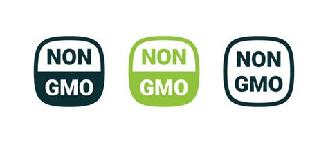 Non Gmo Symbols Gmo Free Product Emblems Natural Vector Image