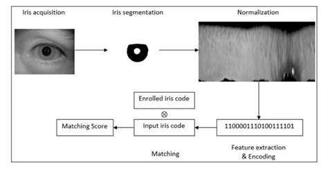 The Iris Recognition System Download Scientific Diagram