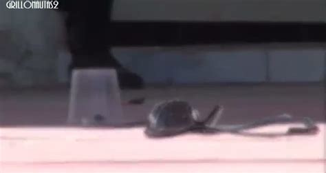Se Registra Balacera En El Salto Jalisco Videos Metatube
