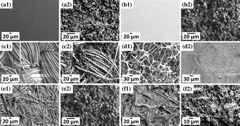 Surface Morphology Of Original Substrates And The Obtained Composite