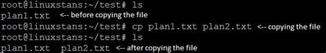 Cp Command How To Copy Files And Directories In Linux