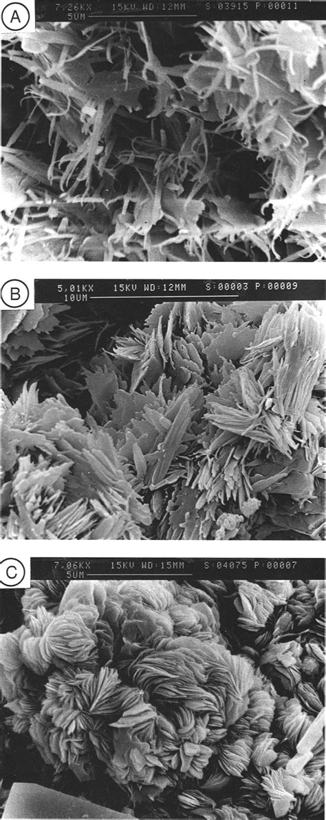 SEM Micrographs Of Illite Morphology Changes With Depth A