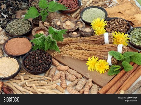 Adaptogen Foods Herbs Image Photo Free Trial Bigstock