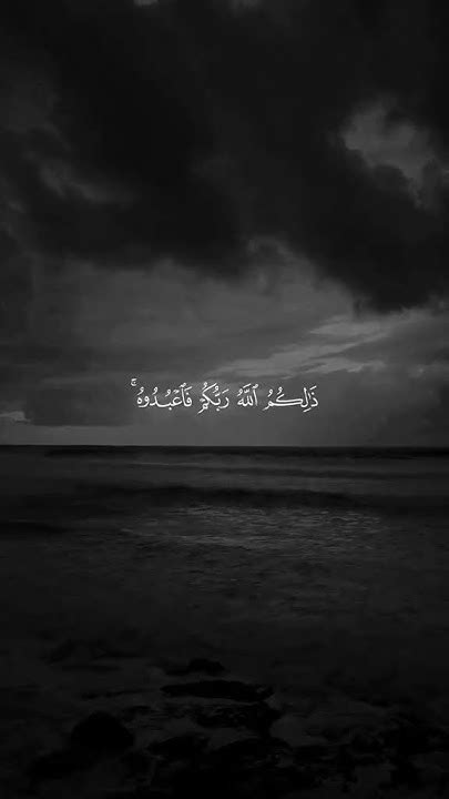 Quranexplorer Quranismylife Explore Quranist اكسبلور