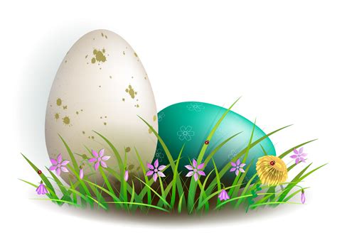 Easter Composition With A White And Turquoise Egg With A Pattern Grass And Flowers 22600866 Png