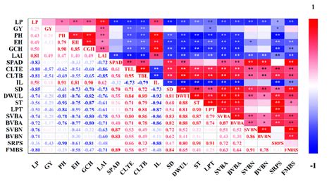 Correlation Analysis Lp Lodging Percentage Gy Grain Yield Ph