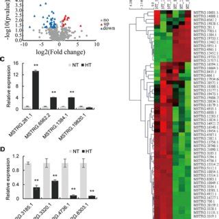 LncRNAs Differential Expression Analysis A Differentially Expressed Download Scientific