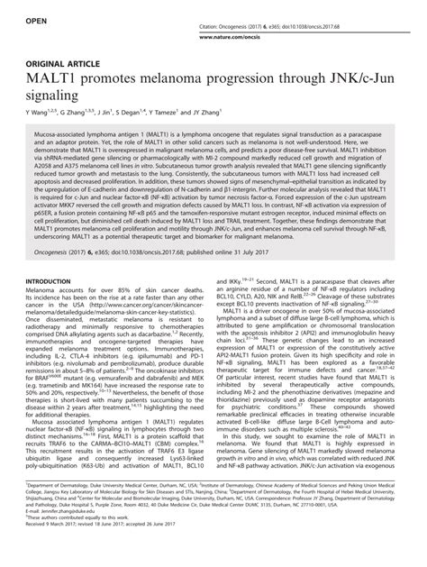 Pdf Malt1 Promotes Melanoma Progression Through Jnkc Jun Signaling