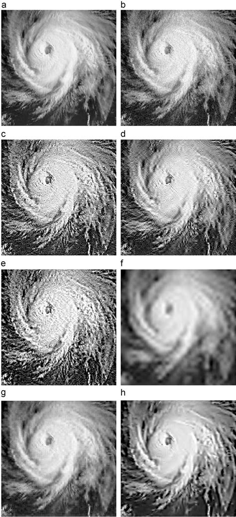 Figure 3 From Adaptive Typhoon Cloud Image Enhancement Using Genetic