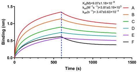 Binding Affinity Of Ref1a To Igl C And Bsa Measured By Octet Red 96