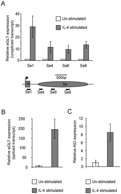 Analysis Of E Germline Gene Transcripts And Aid Expression In Cl 01