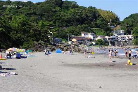 伊豆の海水浴場（今井浜、河津） 線路脇のカメラマンのブログ 楽天ブログ
