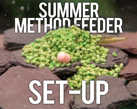 Configurarea Method Feeder Pe Timp De VarĂ Pescuit Nonstop
