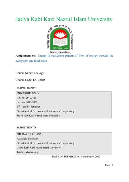 Productivity In Ecosystem Ppt