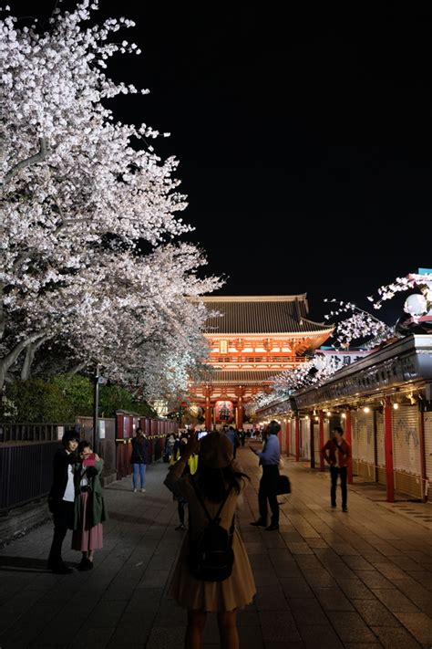 浅草寺（仲見世） By Rabao （id：7641711） 写真共有サイトphotohito
