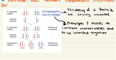 Qtl Mapping 1and2 Flashcards Quizlet