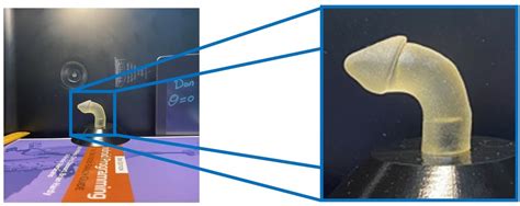 Frontiers Automated Measurement Of Penile Curvature Using Deep Learning Based Novel