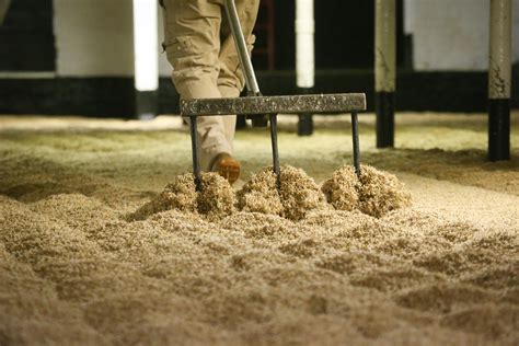 Icknield Malts Warminster Maltings Limited