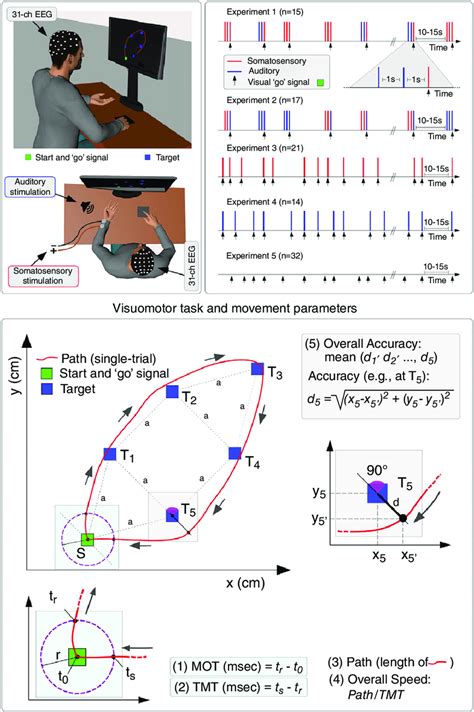 experimental design visuomotor task and movement parameters download