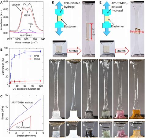 Comparisons On Polymerization Conversion And Bonding Capability A Download Scientific