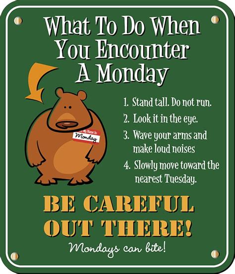 What To Do When You Encounter A Monday Funny Monday Humor Happy Monday Monday Morning Monday