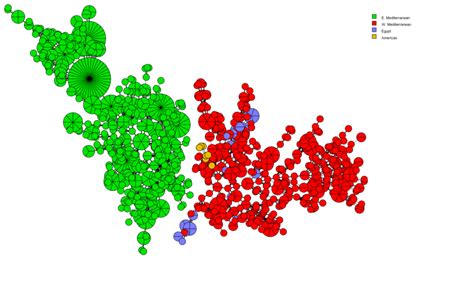 Similarity Coefficient Based Minimum Spanning Tree Of 19 Brucella