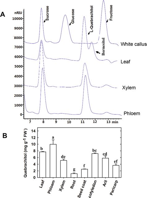 A Hplc Chromatogram Of Soluble Sugars In Different Litchi