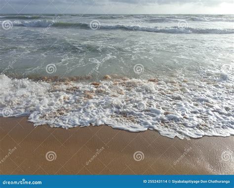 Sri Lankan Beach Stock Photo Image Of Lankan Place 255243114