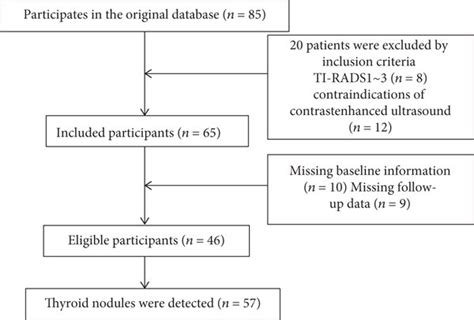 Workflow Of Patient Selection Download Scientific Diagram