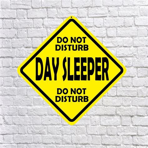 Day Sleeper Do Not Disturb Sign Work Nights Sleep Days Etsy