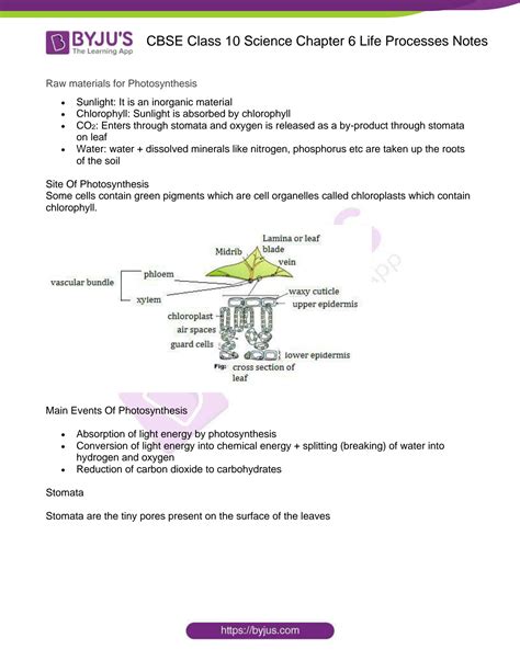 Solution Cbse Class 10 Science Chapter 6 Notes Studypool