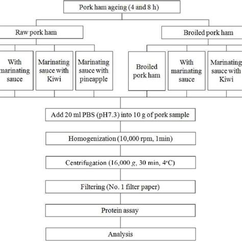Diagram Showing Experimental Treatments And Sample Preparation Procedure Download Scientific