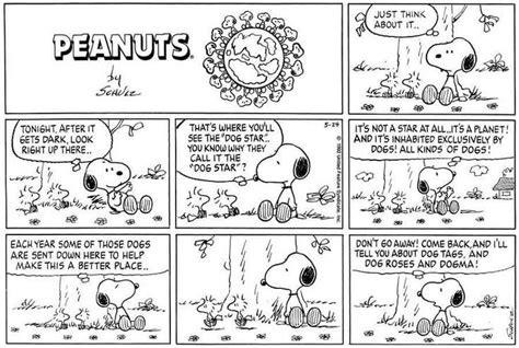 Pin By Mike Catuara On Peanuts Comics Comic Strips Snoopy Comics