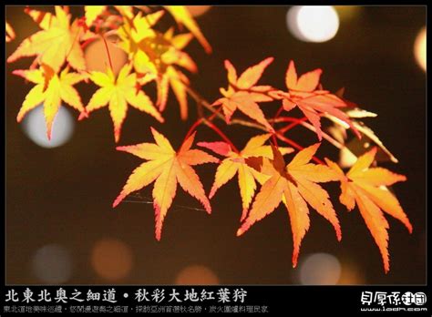 日本東北賞楓【參】秋憶漫步奧之細道 Fam Talk
