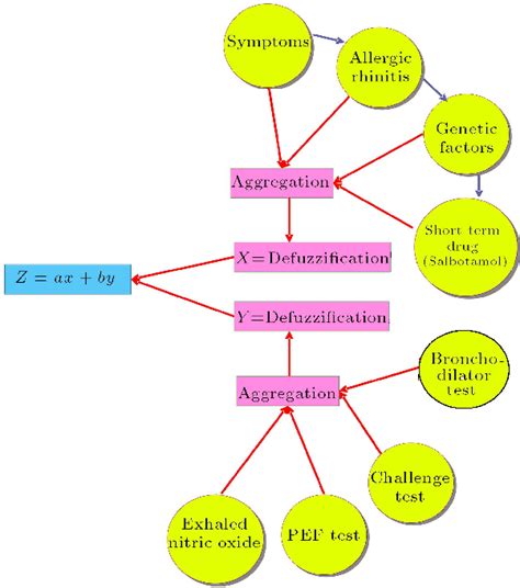 figure 1 from a fuzzy rule based expert system for diagnosing asthma