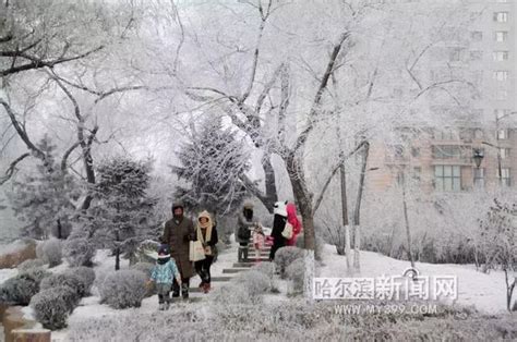 漂亮昨天哈爾濱冰河開花了你知道為什麼叫打春嗎 每日頭條